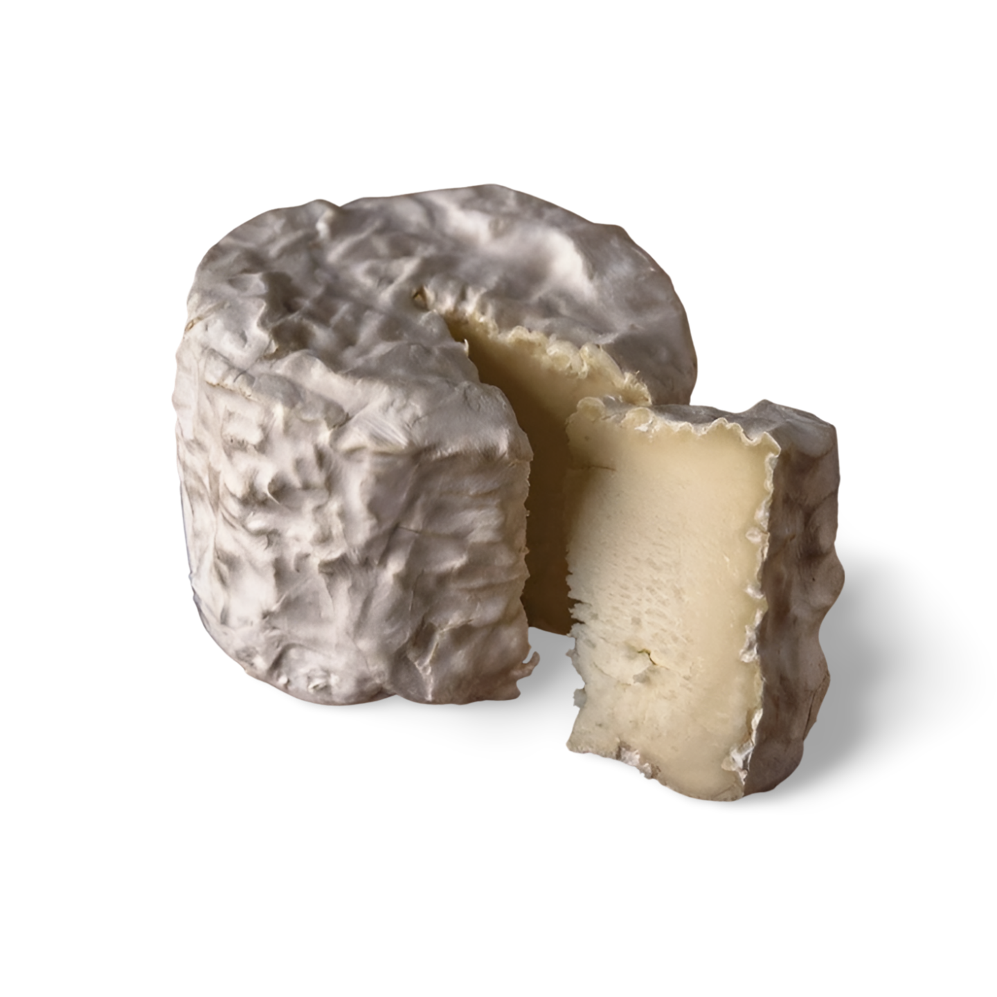 Goat Lady Dairy - Snow Camp | South Slope Cheese Company